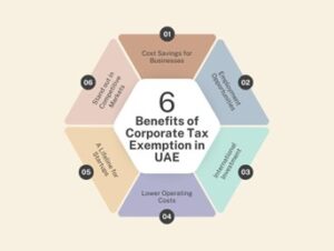 UAE Corporate Tax Exemption - who is eligible who is not eligible?